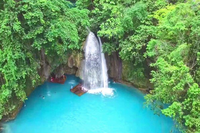Oslob Whale Shark and Kawasan Falls Day Tour - The Value of This Tour