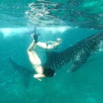 Oslob: Whale Shark Swim & Aguinid Falls Adventure Tour - What Makes This Tour Stand Out?