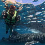 Oslob: Whale Shark Watching Private tour - Who Will Love This Tour?