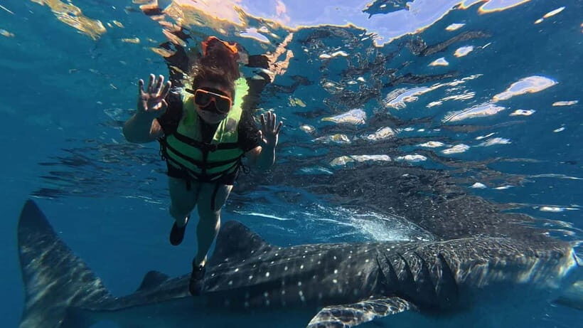 Oslob: Whale Shark Watching Private tour - Who Will Love This Tour?