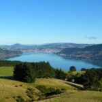Otago Peninsula Scenery and Dunedin City Highlights Tour - Who Will Love This Tour?