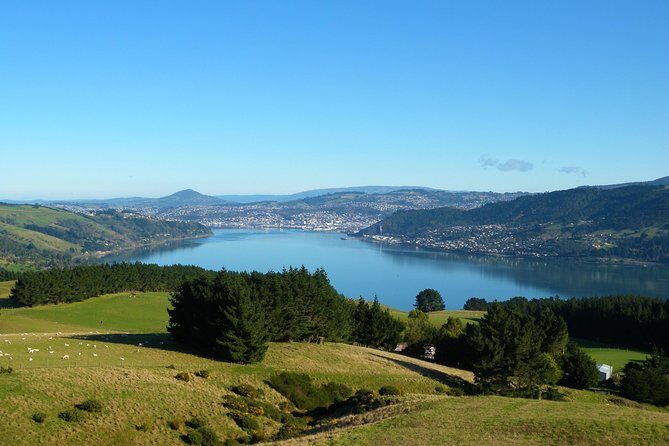 Otago Peninsula Scenery and Dunedin City Highlights Tour - Who Will Love This Tour?