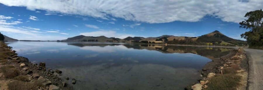 Otago Peninsula Scenery & Little Blue Penguin tour - Exploring Otago Peninsula: A Visual Feast