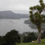 Otago Peninsula Tour and Larnach Castle City Sights (min 4 ) - Practical Details and Considerations