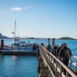 Otago Peninsula Wildlife Cruise with Monarch - Key Points