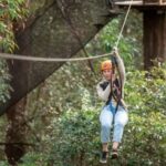 Ourimbah: Central Coast Treetops Adventure Tree Ropes Course - Final Thoughts