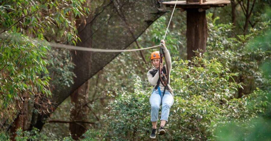 Ourimbah: Central Coast Treetops Adventure Tree Ropes Course - Final Thoughts