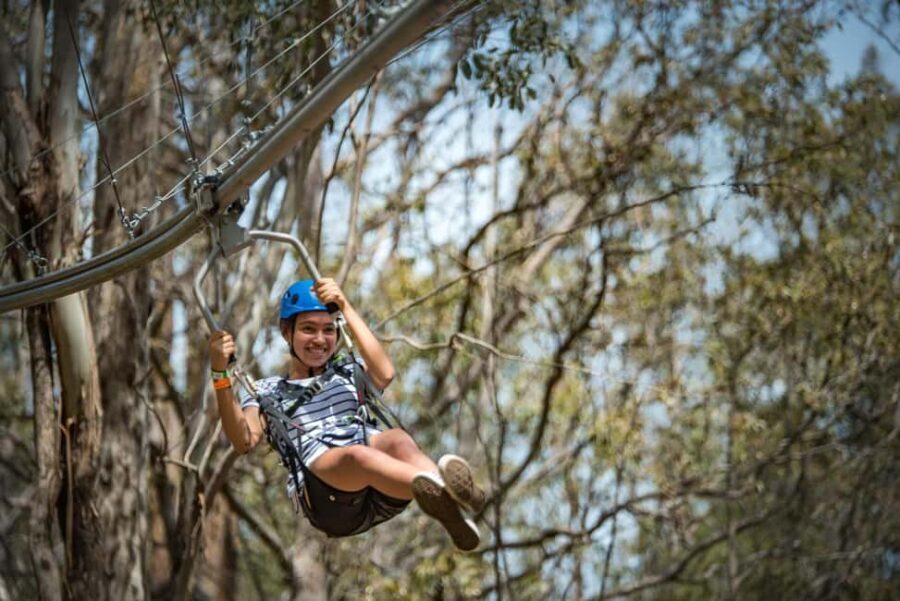 Ourimbah: Central Coast Zipcoaster - Pricing and Value