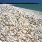 Outback Coast 4 Day Tour - Who is This Tour Best Suited For?