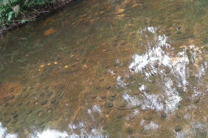 Overnight Camping tent at Kulen Mountain From Siem Reap - FAQs