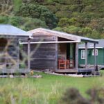 Overnight Experience Tour on Kapiti Island - Who Will Love This Tour?