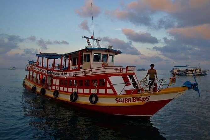 PADI Open Water Diver course on Koh Samui - The Practical Aspects and Overall Value