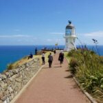Paihia: Cape Reinga and Ninety Mile Beach Trip with Lunch - The Value and the Cost
