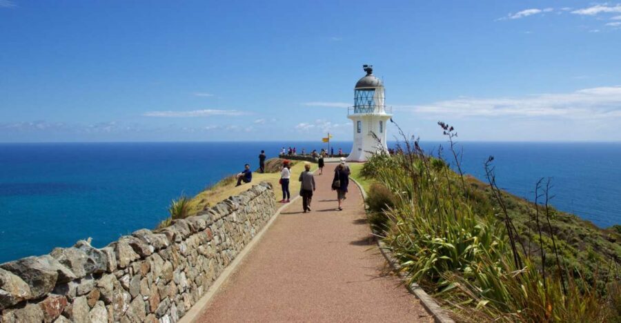 Paihia: Cape Reinga and Ninety Mile Beach Trip with Lunch - The Value and the Cost