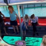 Paihia: Glass Bottom Boat Tour to the Hole in the Rock - Who Should Consider This Tour?