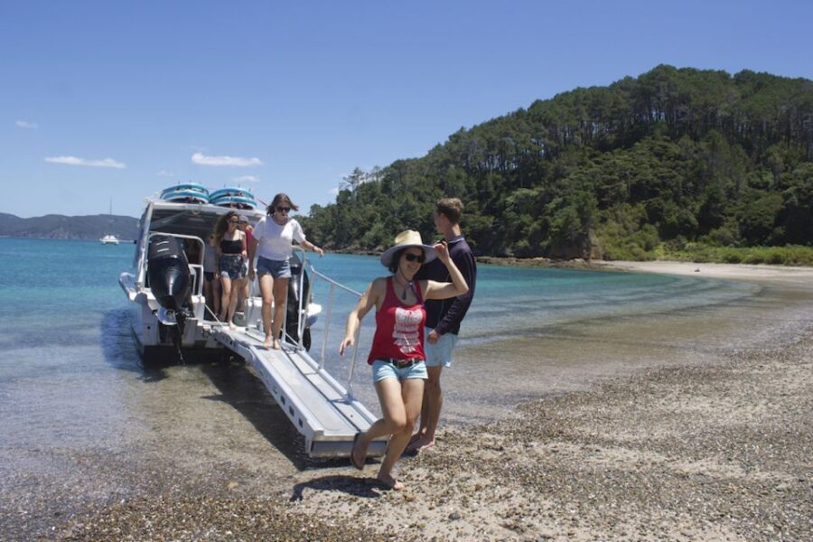 Paihia/Russell: Hole in the Rock Cruise with 2 Island Stops - Who Will Love This Tour?