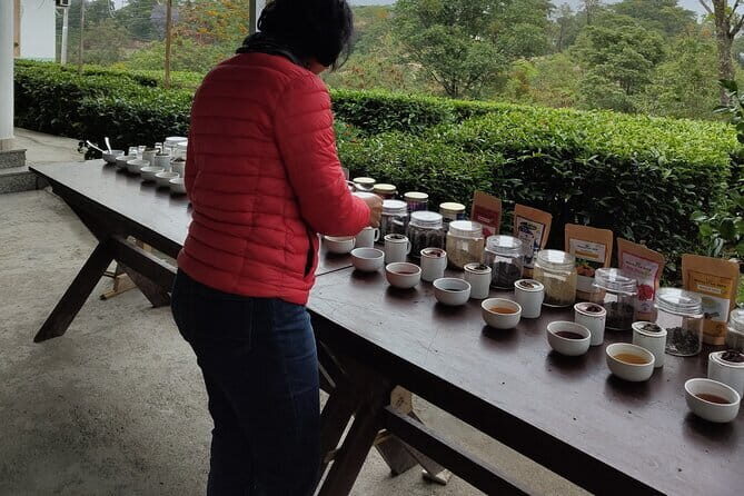 Palampur Tea Garden Tour - Why Choose This Tour?