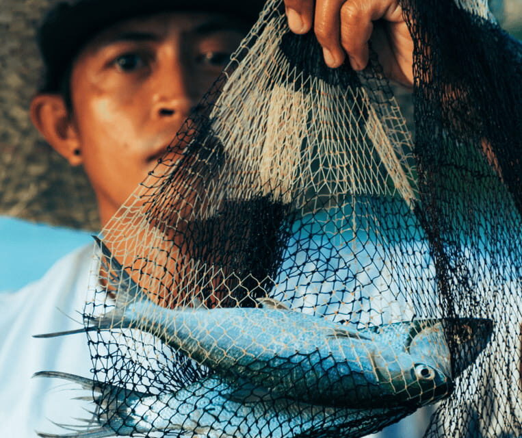 PALAWAN: El Nido Fishing Tour with Local Fishermen PRIVATE - What’s Included and What’s Not