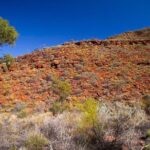 Palm Valley 4WD Tour from Alice Springs - Transportation and Group Size
