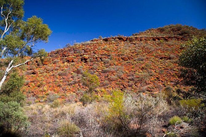 Palm Valley 4WD Tour from Alice Springs - Transportation and Group Size