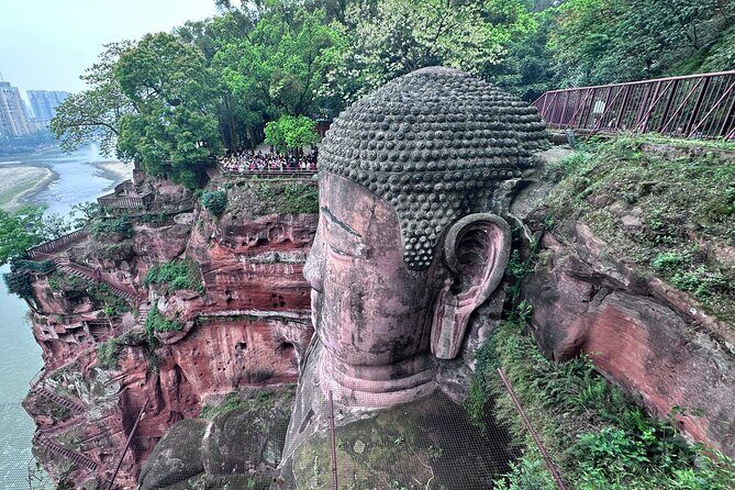 Panda, Leshan, and Emei Mountain 2-day tour - Who Is This Tour Best For?