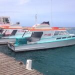 Papeete and Tahiti Historical and Cultural Tour - What to Expect from the Experience