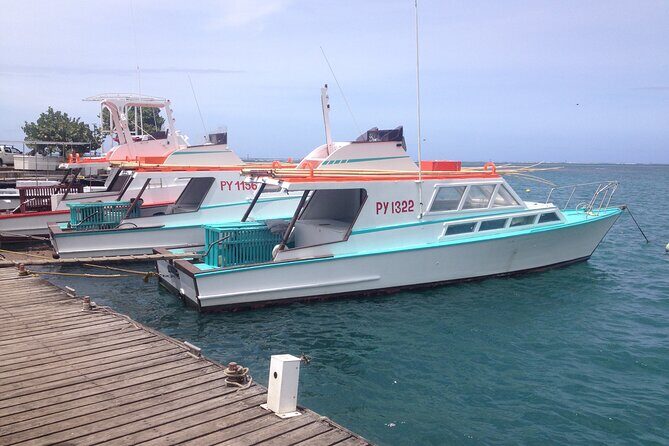 Papeete and Tahiti Historical and Cultural Tour - What to Expect from the Experience