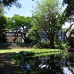 Papeete Cultural Tour and Tahitian Tuna Workshop - Final Thoughts