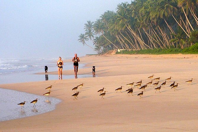 Paradise Sri Lanka (10N /11 D) - The Balance of Structure and Flexibility