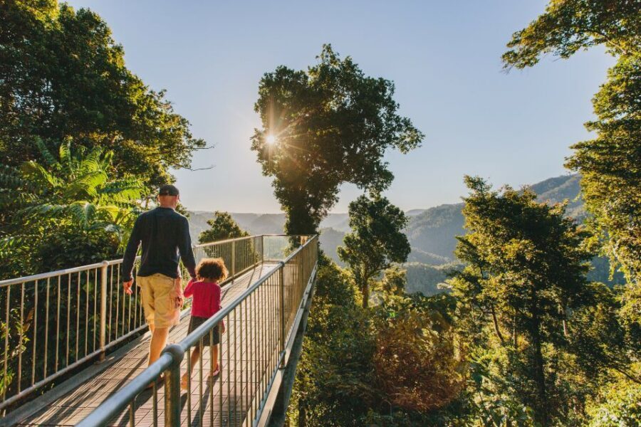 Paronella Park and Mamu Tropical Skywalk Ticket Combo - A Closer Look at the Tour Experience