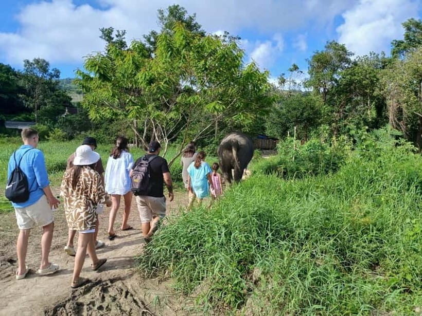 Patong: Elephant Sanctuary Observe & Learn Experience - Practical Details