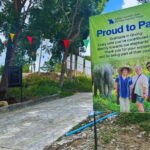 Patong: Elephant Sanctuary Tour with Transfer - The Experience in Detail