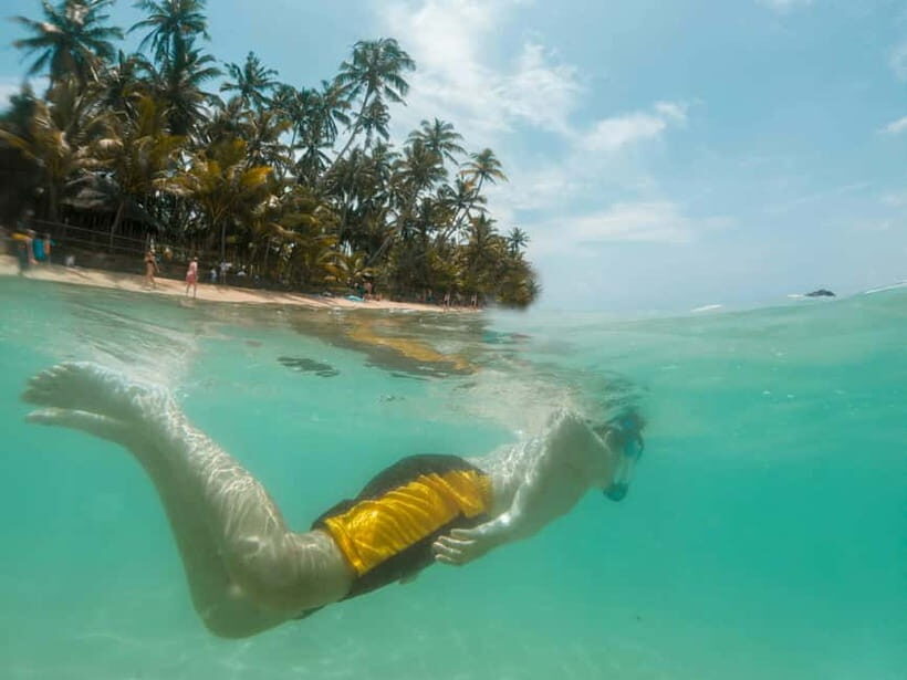 Pattaya: Coral Island Half-Day Trip With Indian Lunch - Transportation and Timing