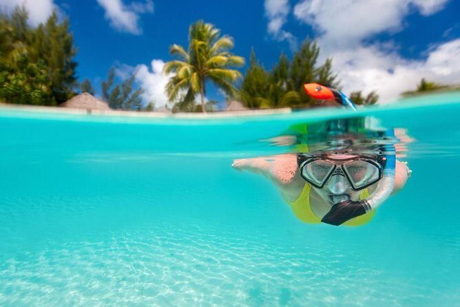 Pattaya Coral Islands Tour with Lunch - Analyzing the Value: Price and Experience
