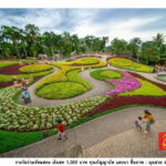 Pattaya : Full Day Private Tour - Practical Details and Why They Matter