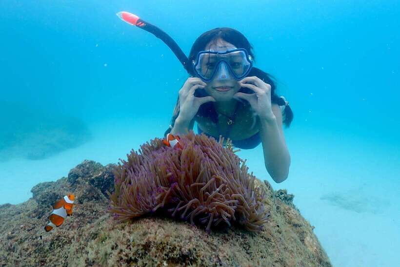 Pattaya: Private Speedboat Nemo Island with Snorkel & BBQ - What’s Included and What’s Not