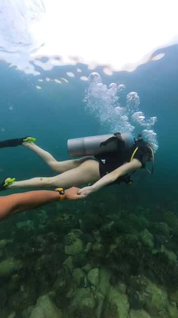 Pattaya: Snorkeling or Beginner Scuba Diving Tour with lunch - Practical Details That Matter