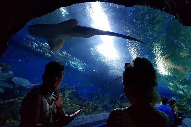 Pattaya Underwater World - Discover Ocean Treasures - Final Thoughts