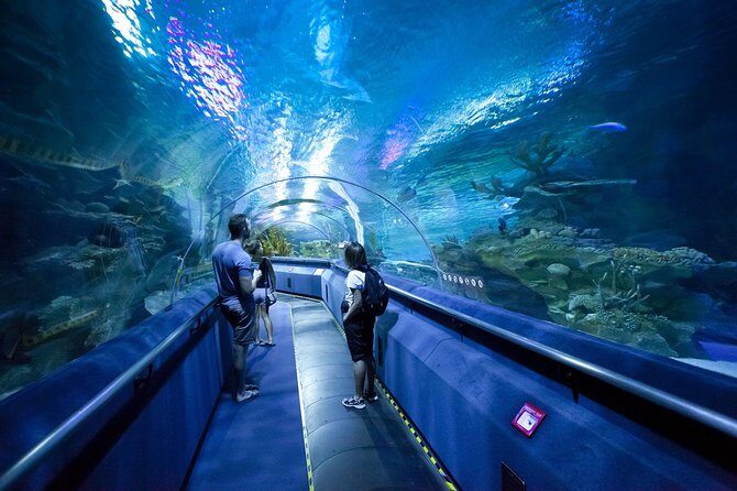 Pattaya Underwater World Entrance Ticket - Detailed Breakdown of the Itinerary