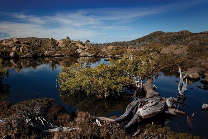 Peaks, Falls & Furry Locals: Mt. Field & the Derwent - Why This Tour Works