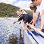 Pearl & Oyster Farm Hawkesbury River Cruise - Who Will Love This Tour?