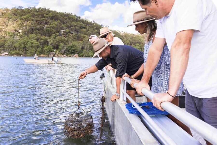 Pearl & Oyster Farm Hawkesbury River Cruise - Who Will Love This Tour?