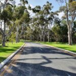 Pedals & Petals - Discovering Wildflowers Bike Tour Kings Park - The Itinerary in Detail