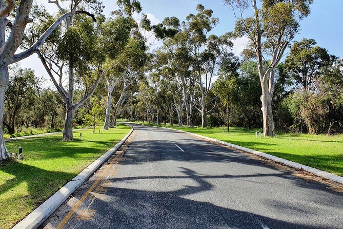 Pedals & Petals - Discovering Wildflowers Bike Tour Kings Park - The Itinerary in Detail
