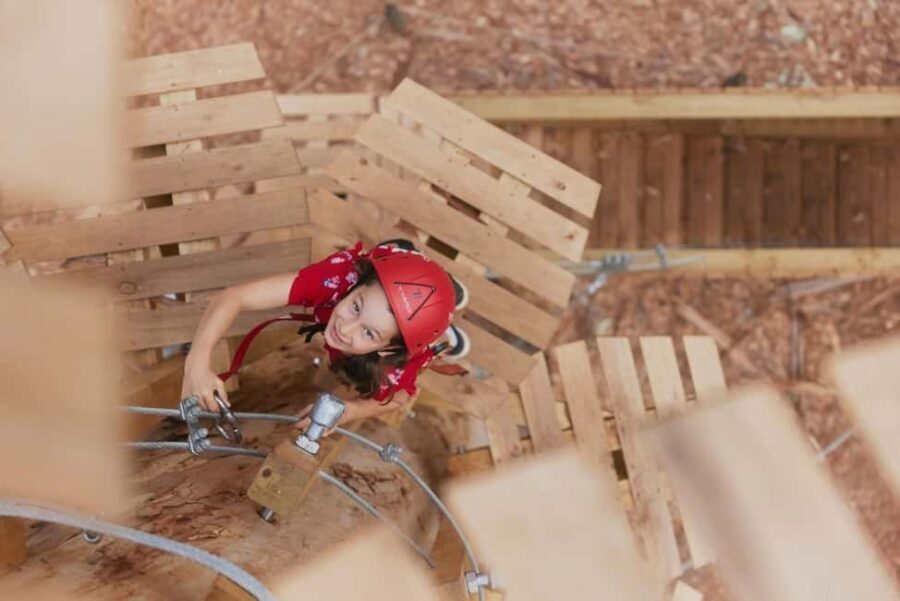 Pemberton: 2.5h Ultimate Ziplines & High Ropes Experience - Summary