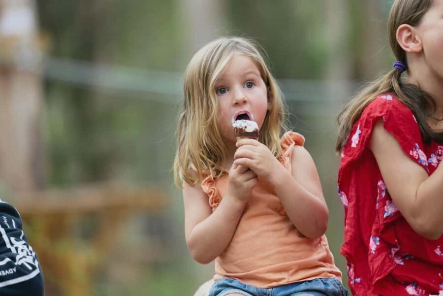 Pemberton: 40 minute Kookies Pass with Zip Lines & Low Ropes - The Activities in Detail