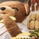 Penang: Teddyville Museum Entry Ticket - The Practicalities: What You Need to Know