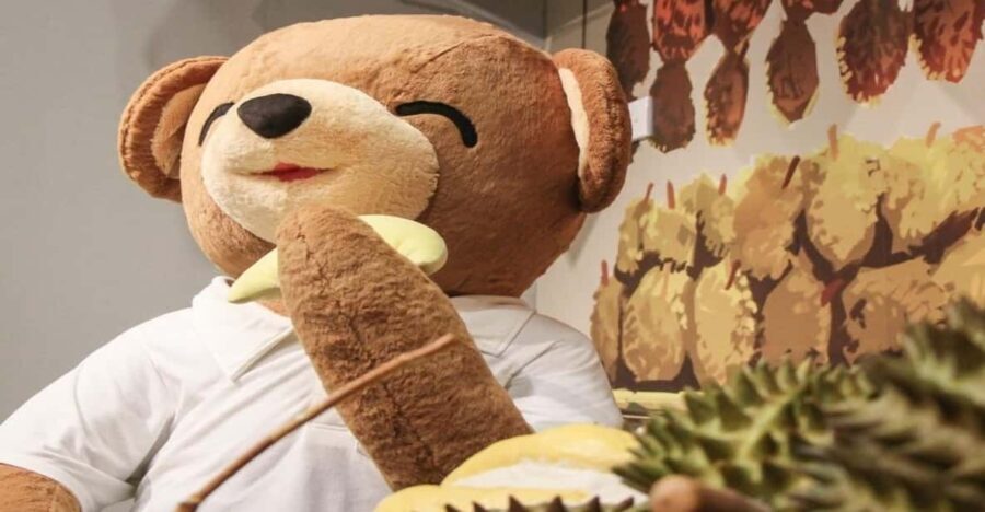 Penang: Teddyville Museum Entry Ticket - The Practicalities: What You Need to Know
