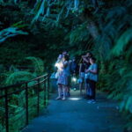 Penang: The Habitat Penang Hill Entry Ticket - Practical Tips for Visiting