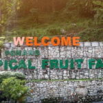 Penang: Tropical Fruit Farm Ticket - Who Should Visit?